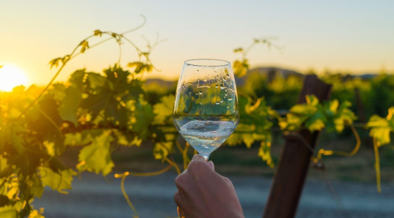 Wine aeration; what is it and why is it important? – The Wine Collective